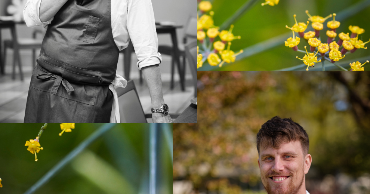 Andreas Antona | SIMPSONS X TOM BARNES