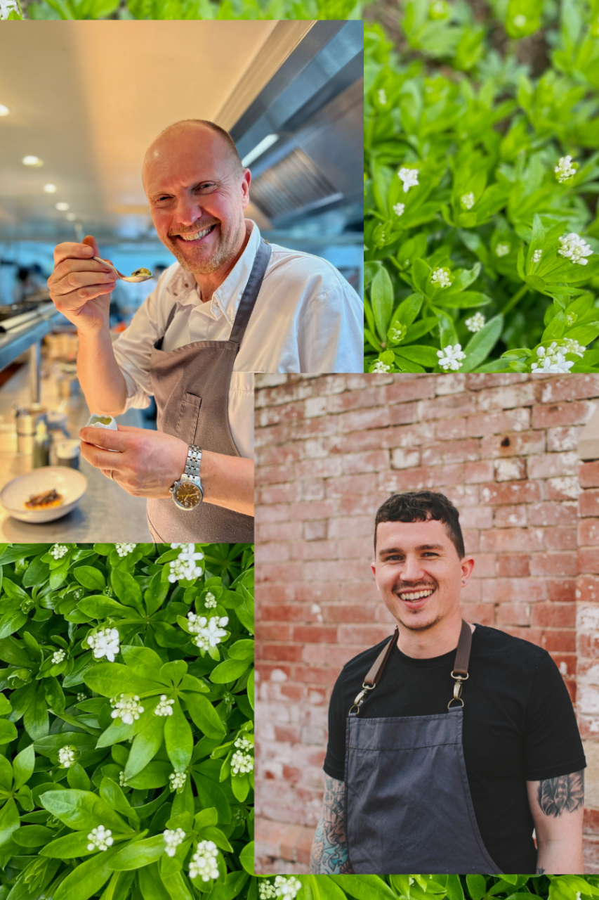 Andreas Antona | Simpsons X Stu Deeley